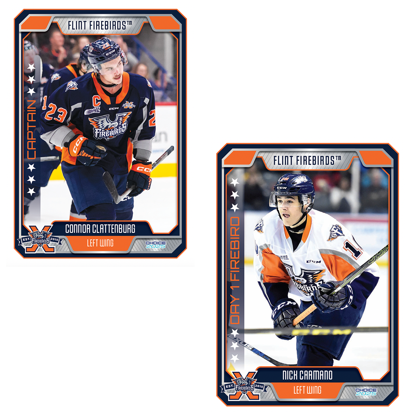Decade of Fire Trading Card Pack – The Bird's Nest